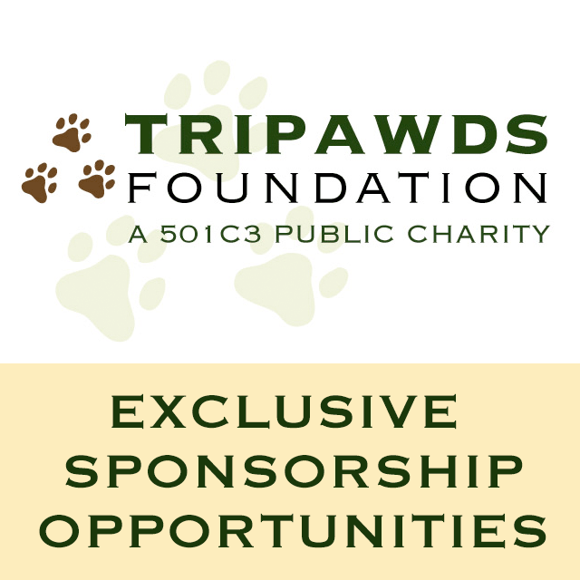 Exclusive Sponsorship Opportunities